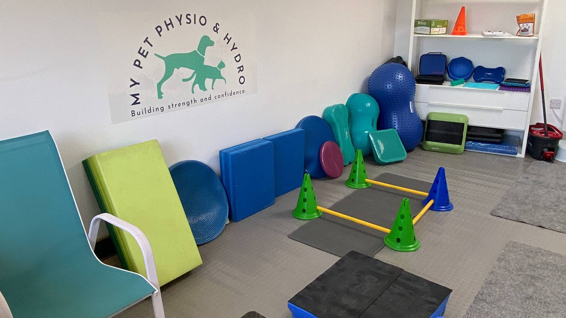 Physiotherapy and hydrotherapy for dogs and cats | My Pet Physio ...