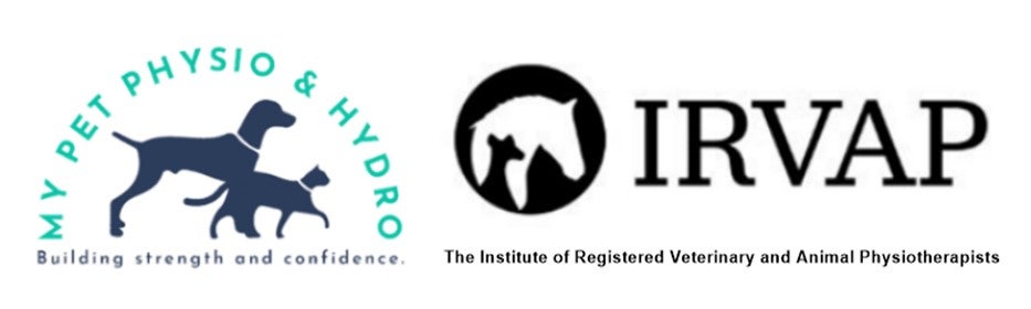 Physiotherapy and hydrotherapy for dogs and cats | My Pet Physio ...
